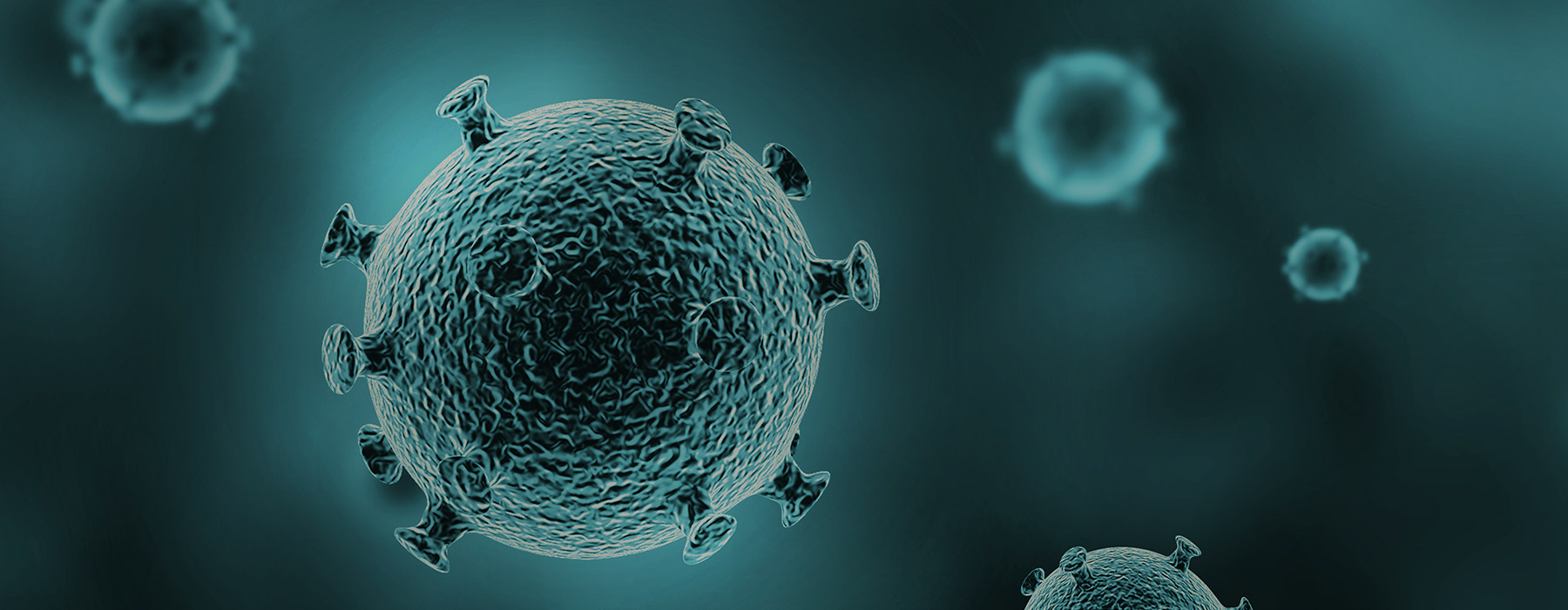 Mold & Mildew Cleaner 105 - Mold Removal | Black Mold Removal | Mold ...